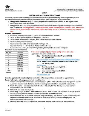 Hawaii Snap Application Pdf - Page 2 | pdfFiller