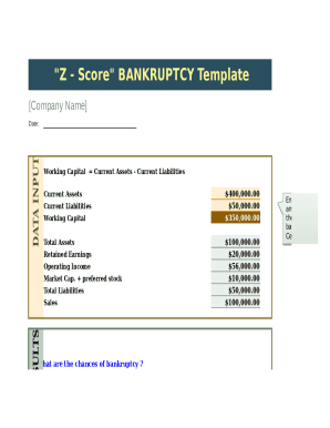 1 Prince2 Risk Register Excel Template Form | pdfFiller